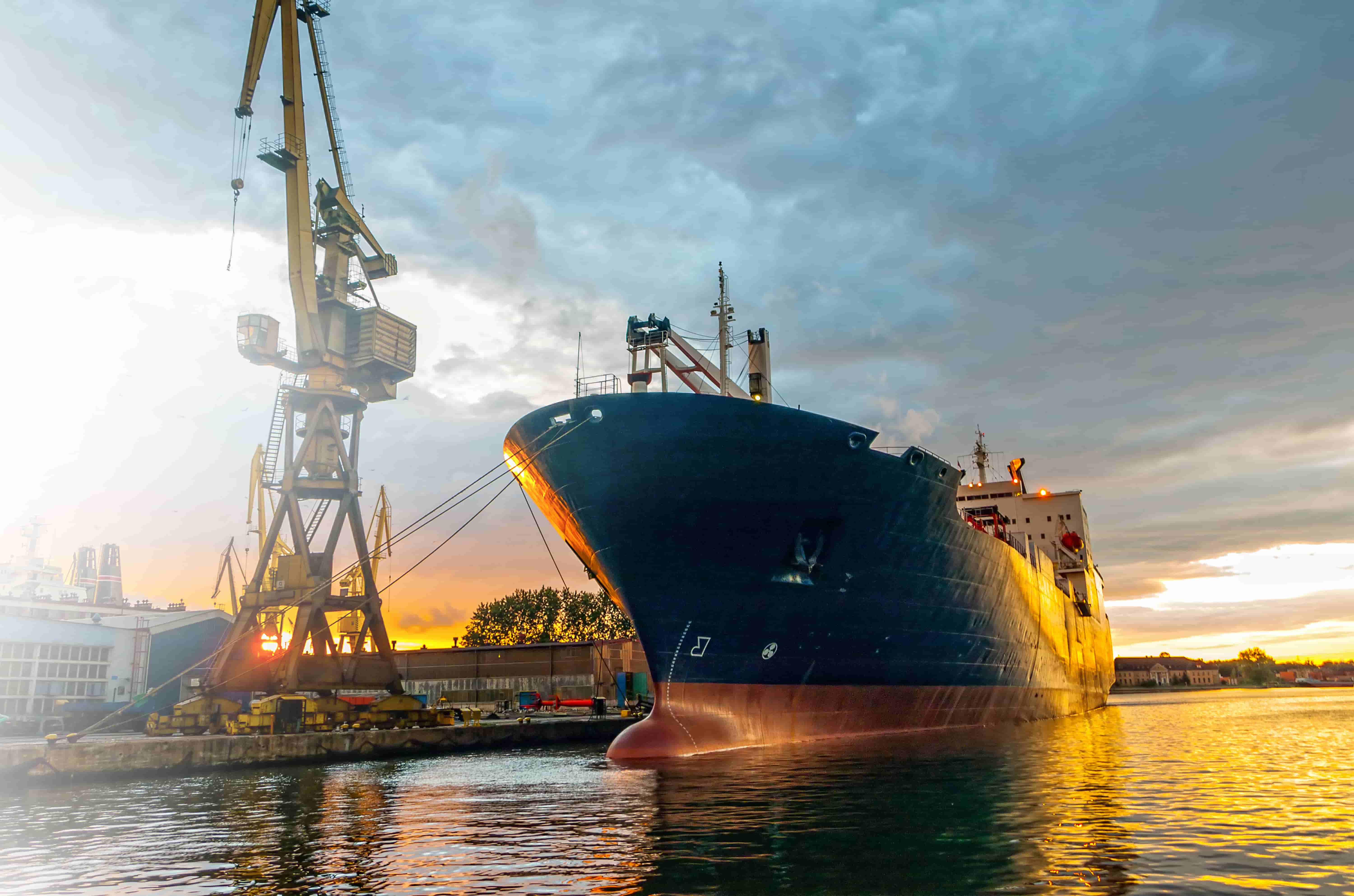 Shipnet blog - Learning from customers (and a product bundle for you)